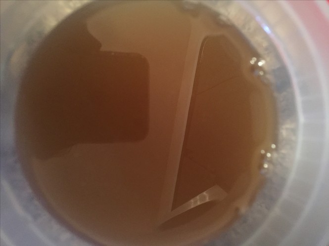 Vegetable Broth | Tajinny.com